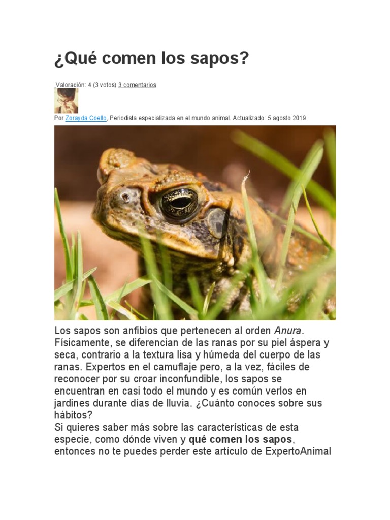 Qué Comen Los Sapos | PDF | Rana | Dieta