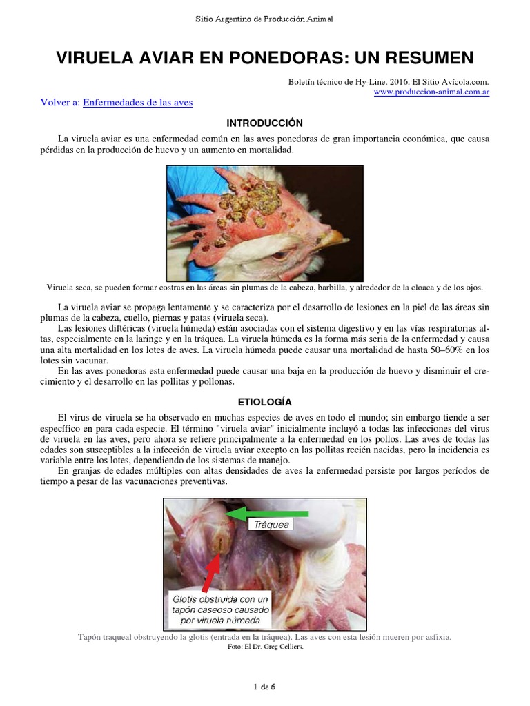 110-Viruela Aviar | PDF | Viruela | Vacunas