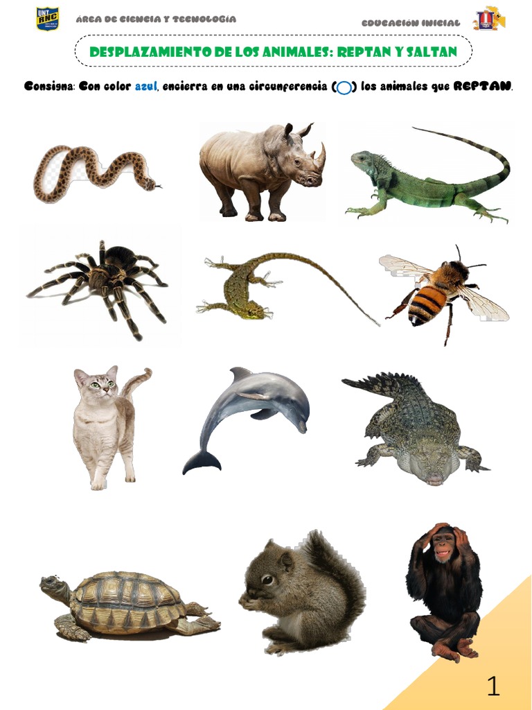 Desplazamiento de Animales - Reptan y Saltan | PDF