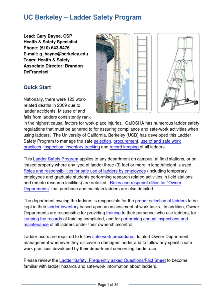 Ladder Safety Program | PDF | Ladder | Safety