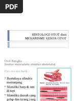 Mekanisme Kerja Otot Saat Kontraksi Dan Relaksasi | PDF