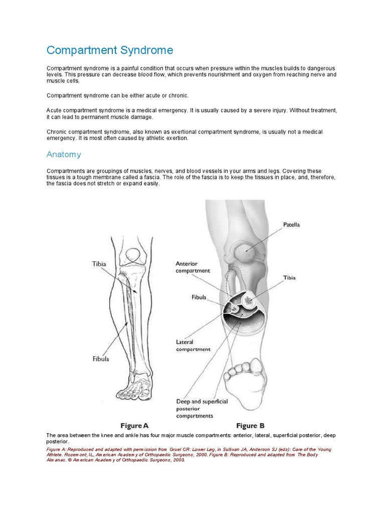 Compartment Syndrome | PDF | Diseases And Disorders | Medical Specialties