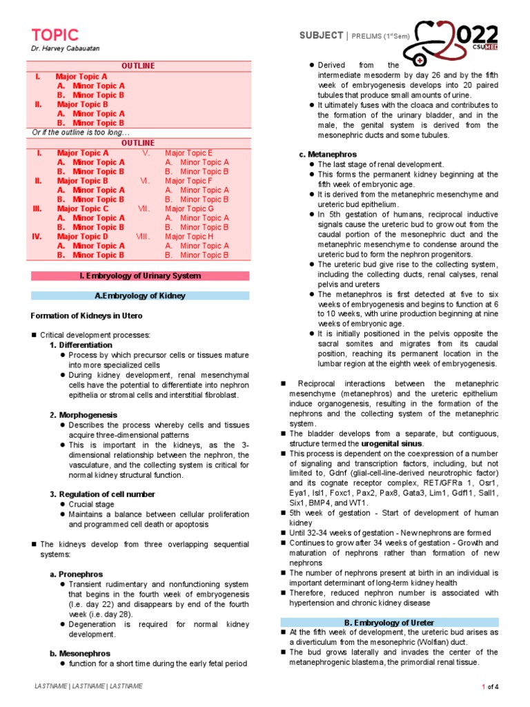 Embryology of the Urinary System | PDF | Urinary Bladder | Kidney