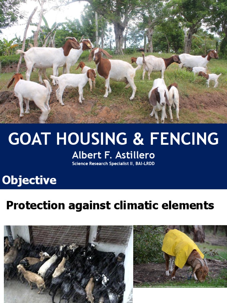 Goat Housing Design and Guidelines | PDF | Goat | Animals And Humans