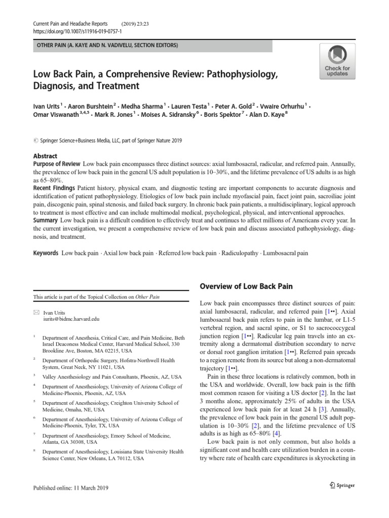 Low Back Pain A Comprehensive Review Pathophysiology 2019 | PDF | Back ...