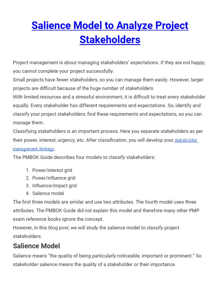 Stakeholder Salience in Projects | PDF | Attention | Stakeholder ...
