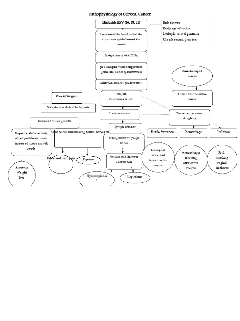 Pathophysiology of Cervical Cancer: High Risk HPV (16, 18, 31 ...