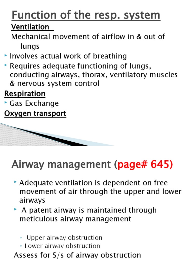 Function of The Resp. System: Respiration | PDF | Breathing ...