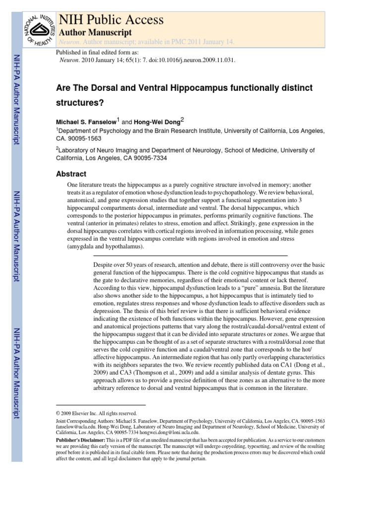 Anterior Posterior Hippocampus | PDF | Hippocampus | Hippocampus Anatomy