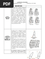 Diagrama de Posselt en Oclusión | PDF | Sistema musculoesquelético ...