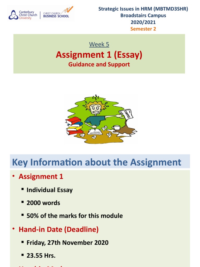 Best Fit and Best Practice Assessment Guidance and Support | Essays ...