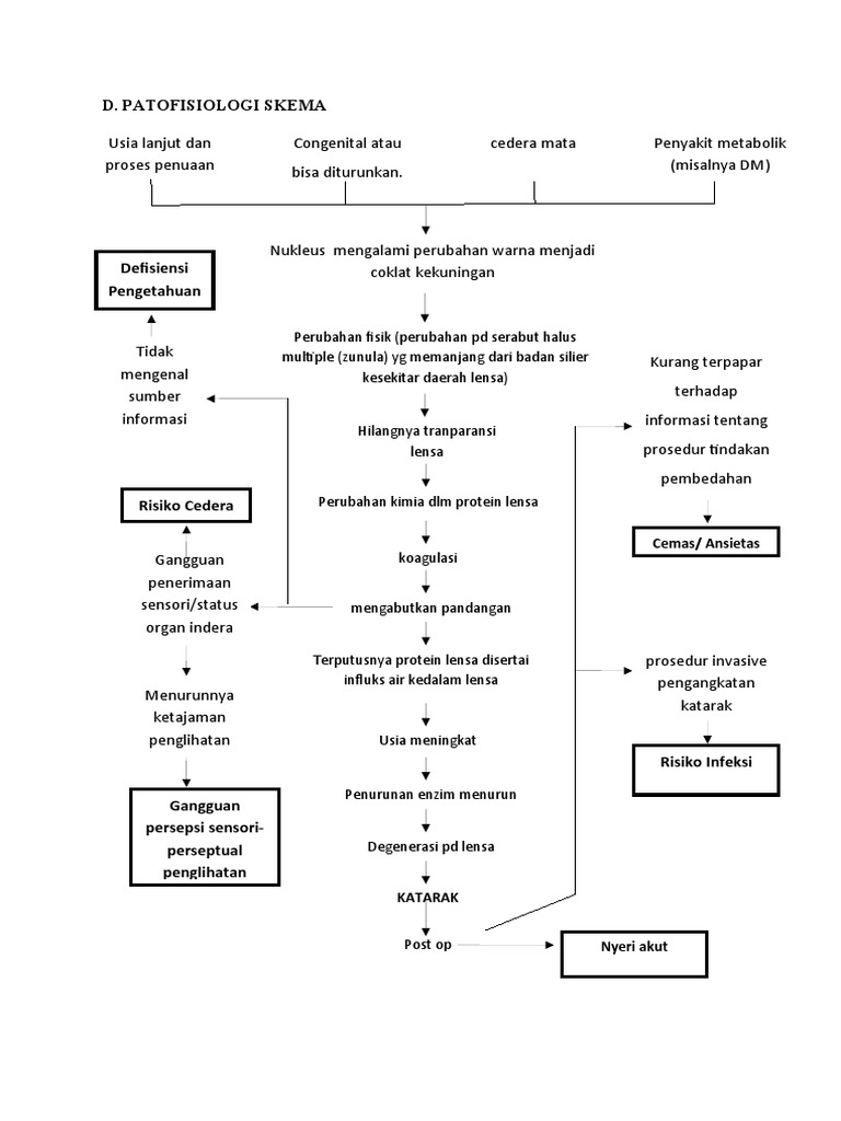 Pathway - Askep Katarak | PDF