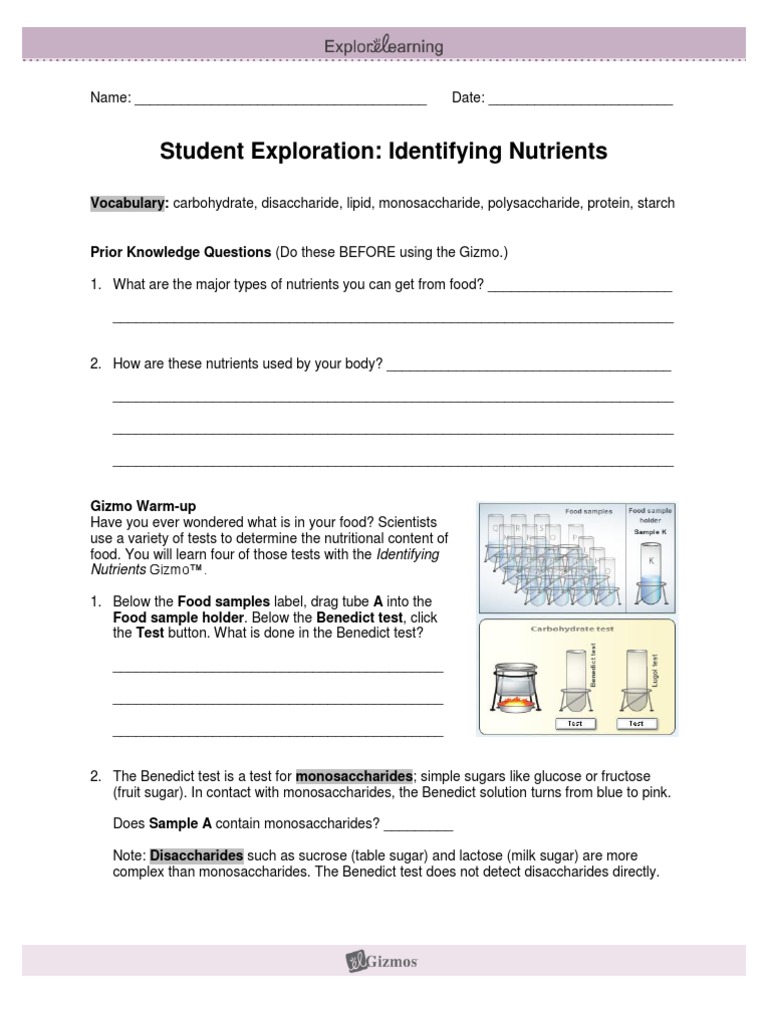 Student Exploration: Identifying Nutrients | PDF | Carbohydrates ...