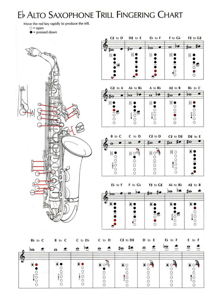 Factual Saxophone Chord Chart Saxophone Keys Alto Sax Fingering Flute Trill Chart PDF Trumpet ...