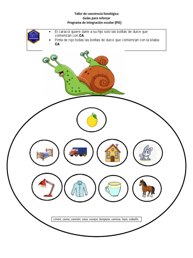 Cuadernillo de Actividades Prekinder | PDF | Naturaleza