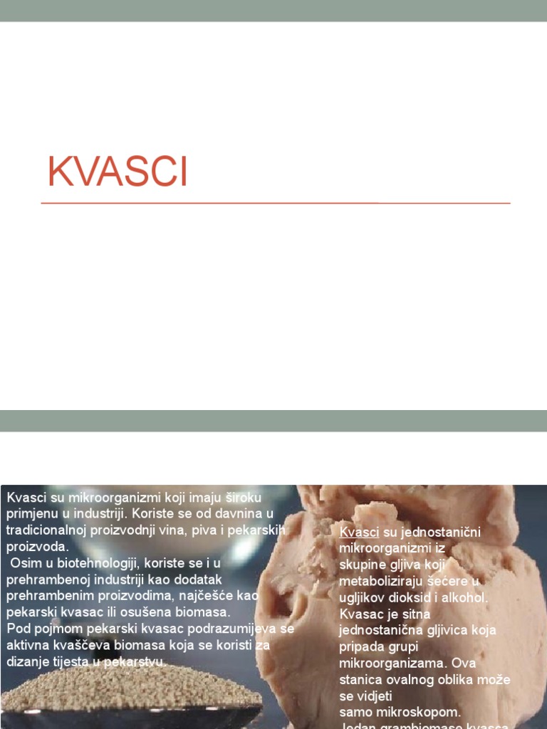 Kvasci | PDF