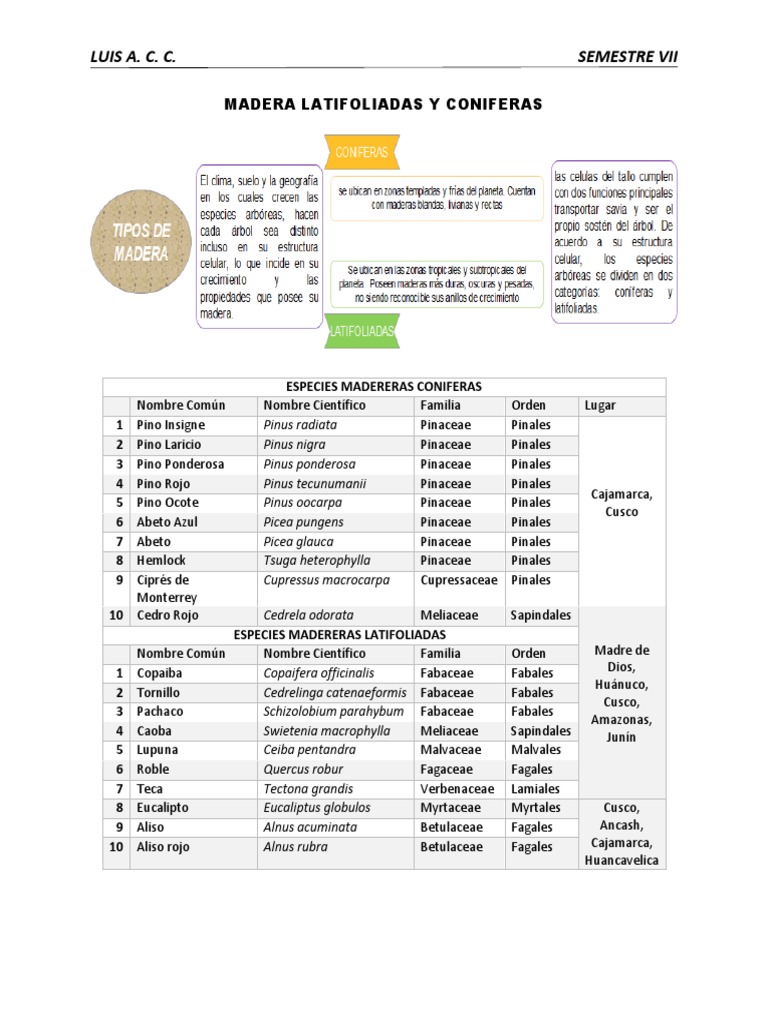 Especies de Maderas Latifoliadas y Coníferas | PDF
