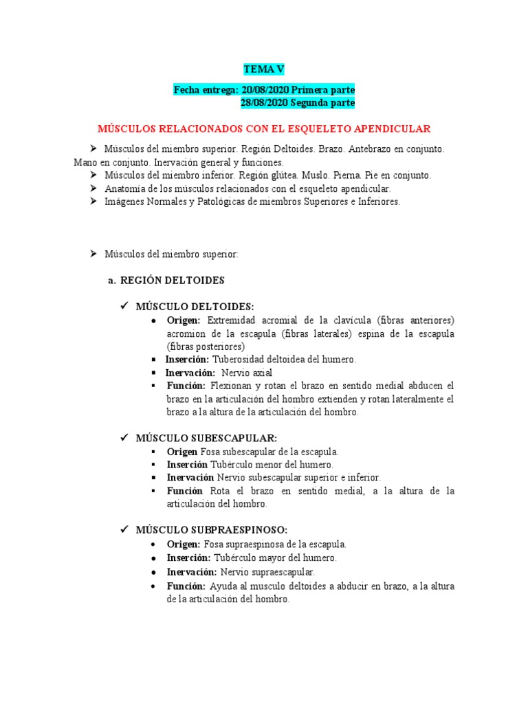 Musculos Del Esqueleto Apendicular Tema V | PDF | Mano | Codo