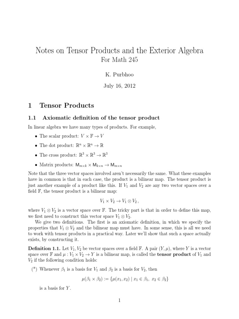 Notes On Tensor Products and The Exterior Algebra: For Math 245 ...