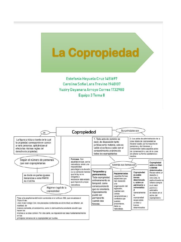 Mapa Conceptual Sobre La Copropiedad. | PDF