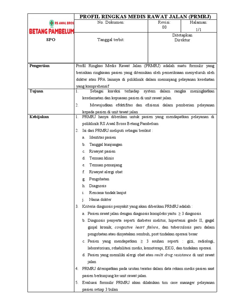 Spo Profil Ringkas Medis Rawat Jalan | PDF