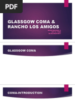 DEMMI Handbook | PDF | Foot | Chair