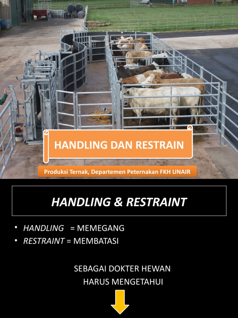 Handling & Restraint | PDF