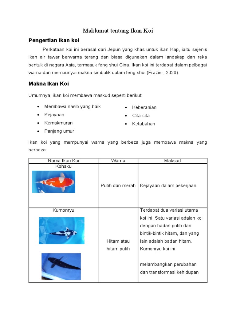 Maklumat Tentang Ikan Koi | PDF