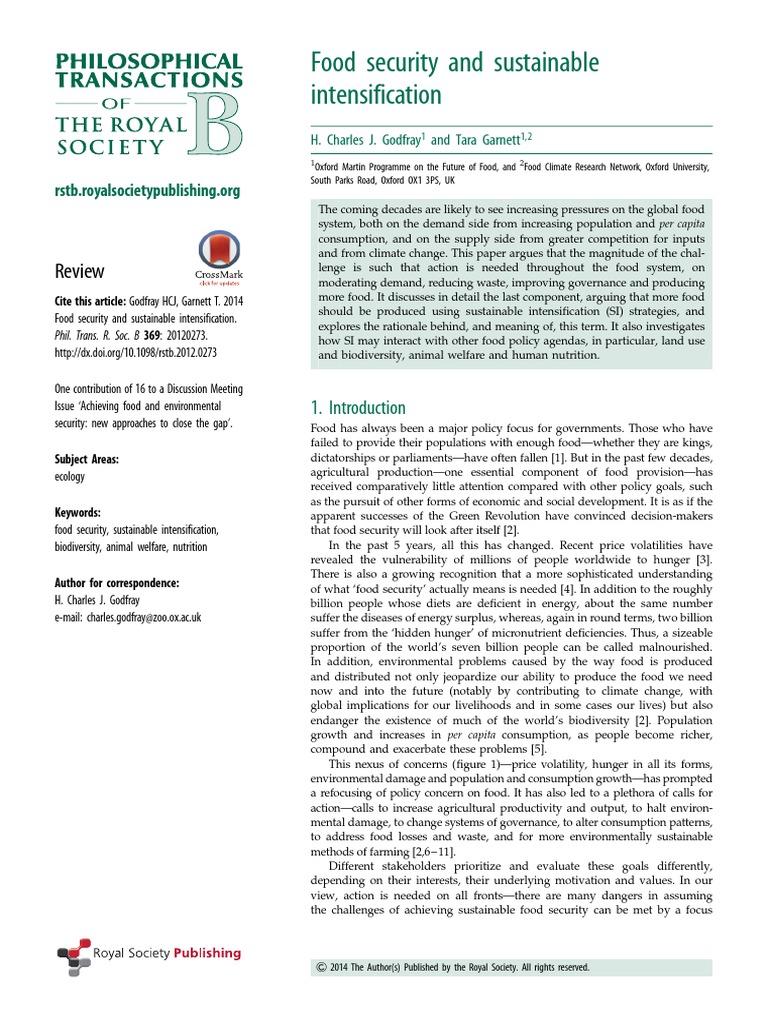 Food Security and Sustainable | PDF | Sustainability | Food Security