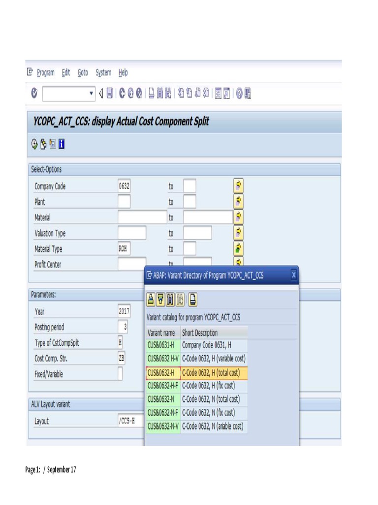 About 1507229882 SAP ML CCS Report | PDF