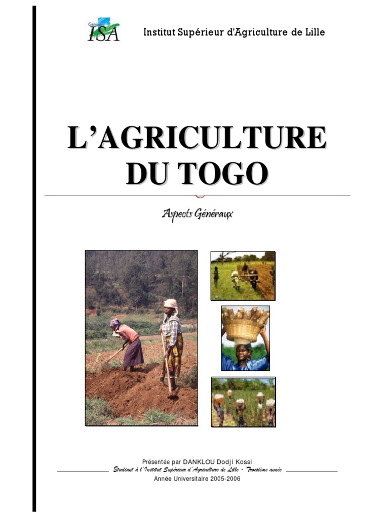 Agriculture Du Togo PDF | PDF