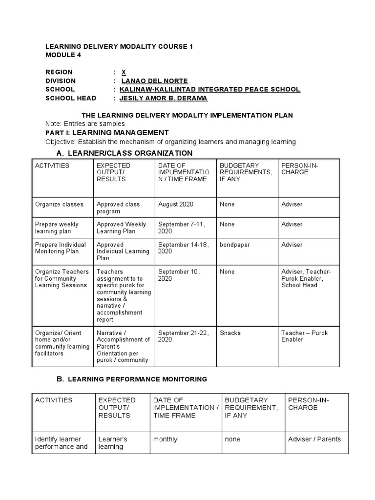 LDM1 Module 4 Implementation Plan Template | PDF | Teachers | Learning