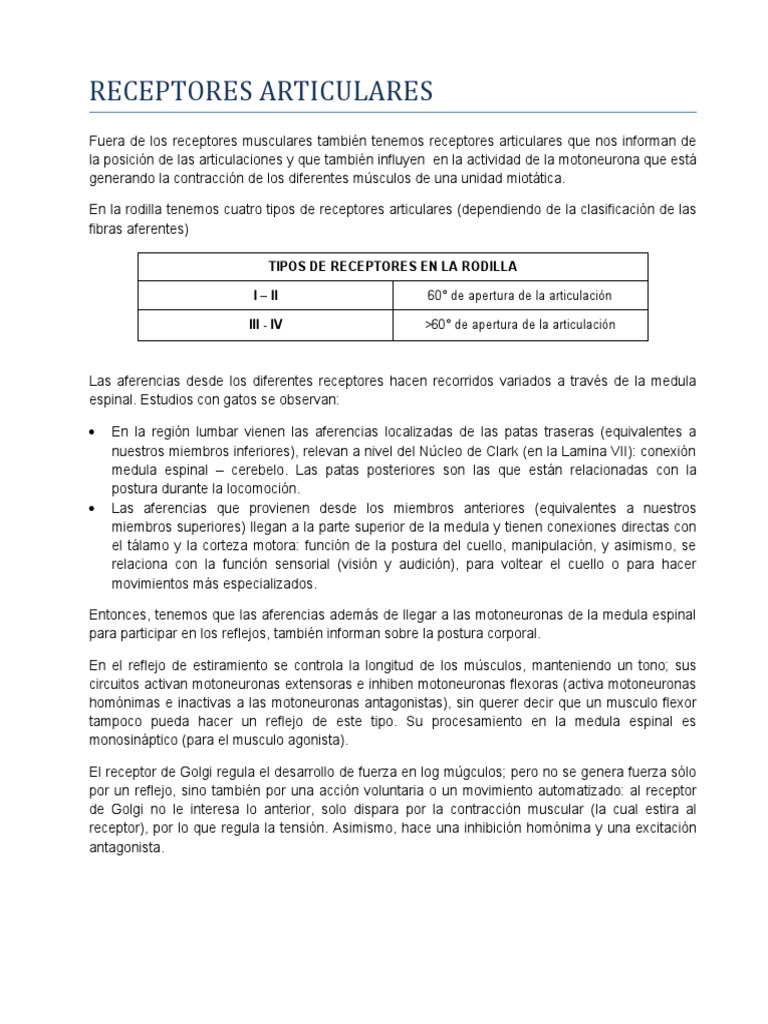 Receptores Articulares - Reflejo Flexor - Postura | PDF | Sistema ...