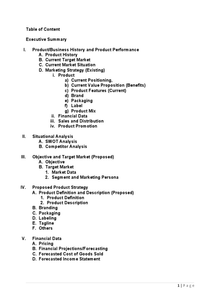Product Plan and Marketing Strategy Guide | PDF