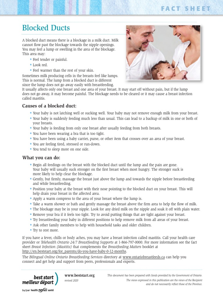 Blocked Ducts: Causes of A Blocked Duct | PDF | Breast | Breastfeeding