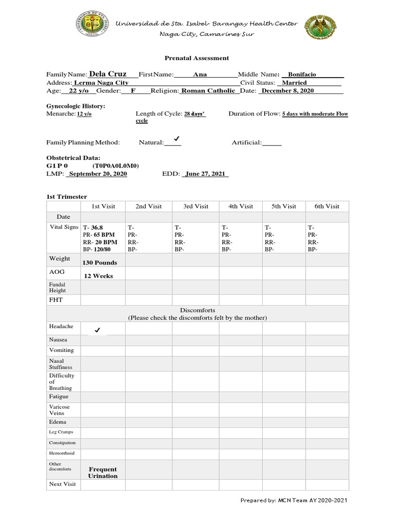 Prenatal Assessment Tool | PDF