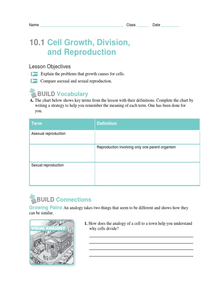 Cell Growth and Division Overview | PDF | Mitosis | Cell Cycle