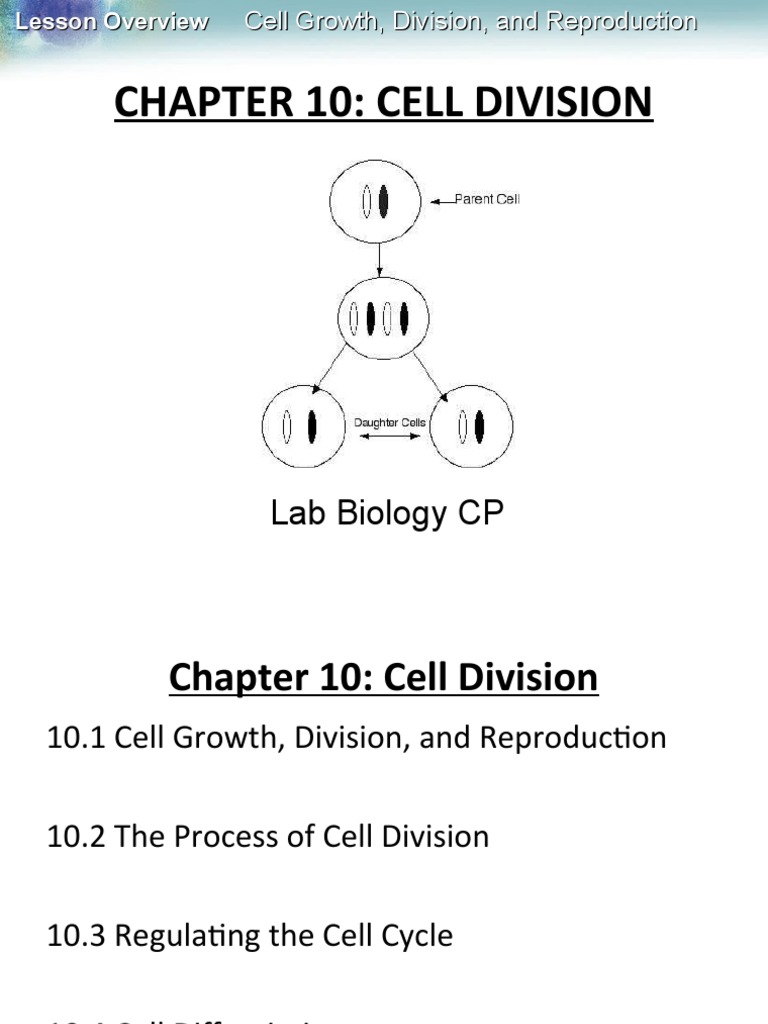 Chapter 10 NotesTeachers | PDF | Mitosis | Meiosis
