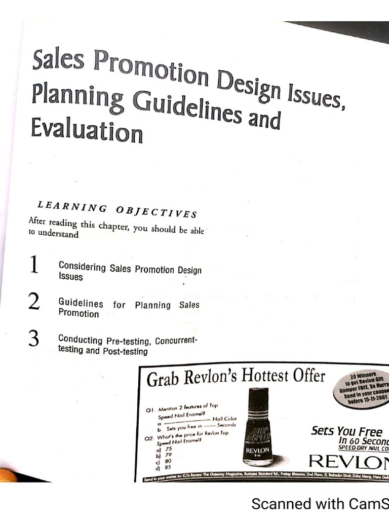 Planning For Consumer Schemes | PDF