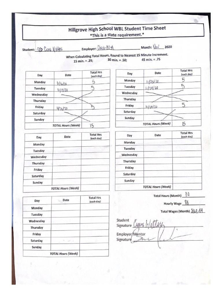 November Time Sheet | PDF