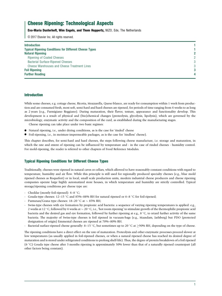 Cheese Ripening: Technological Aspects: Eva-Maria Dusterhoft, Wim ...