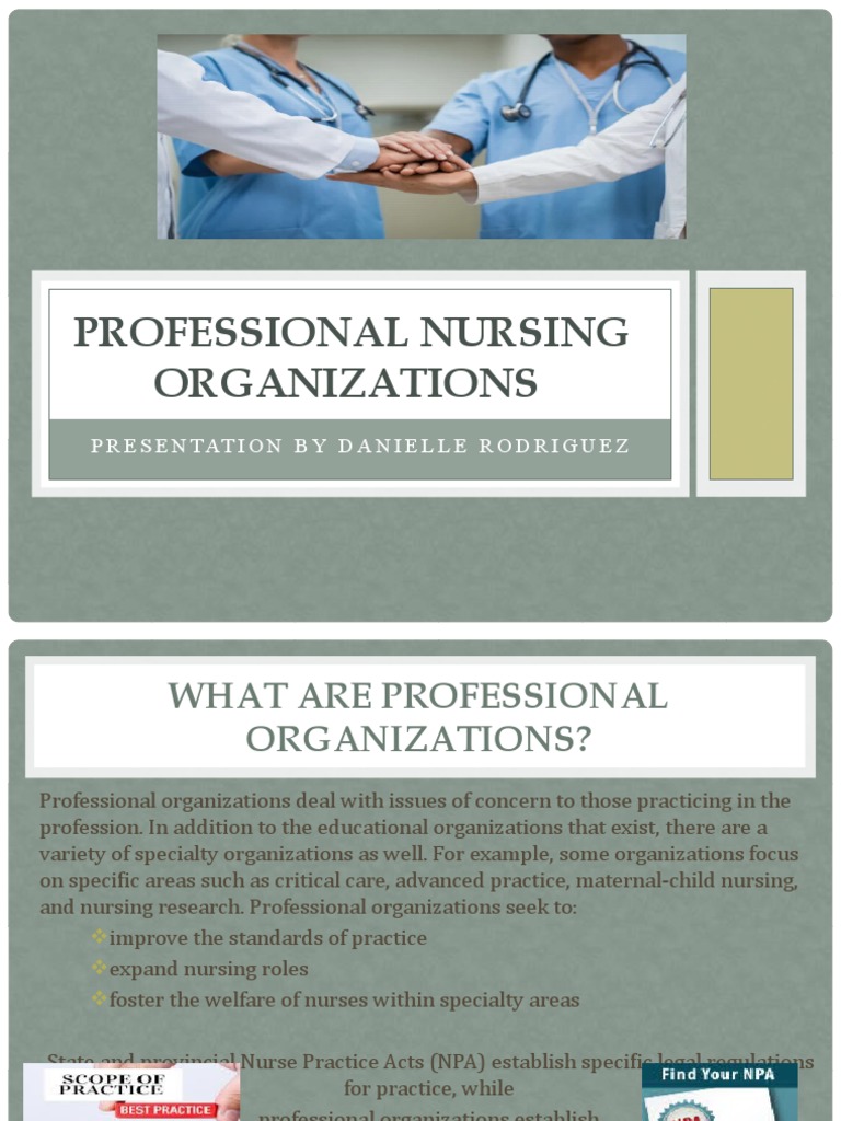 Professional Nursing Organizations Guide | PDF | Nursing | Health Care