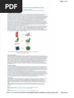 AMPS Course Handouts Overview | PDF | Occupational Therapy | Standard Score