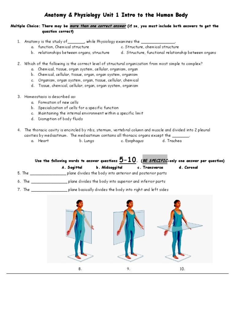 Unit 1 Anatomy & Physiology Overview | PDF | Human Body | Anatomical ...