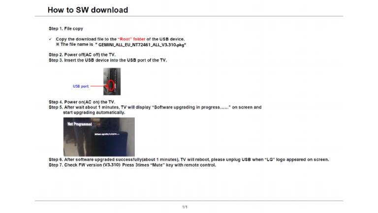 SW Download Guide - V3.310 | PDF