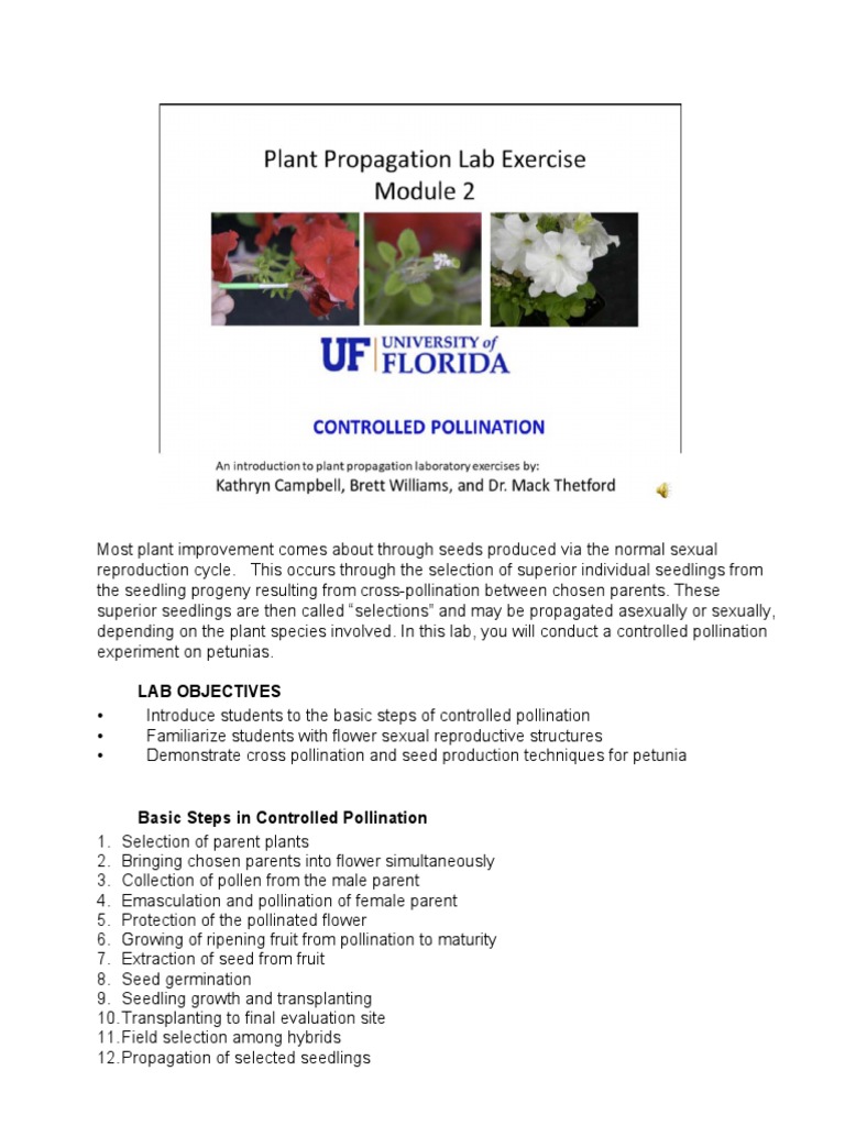 Module2 Controlled Pollination Script PDF | PDF | Pollination | Flowers