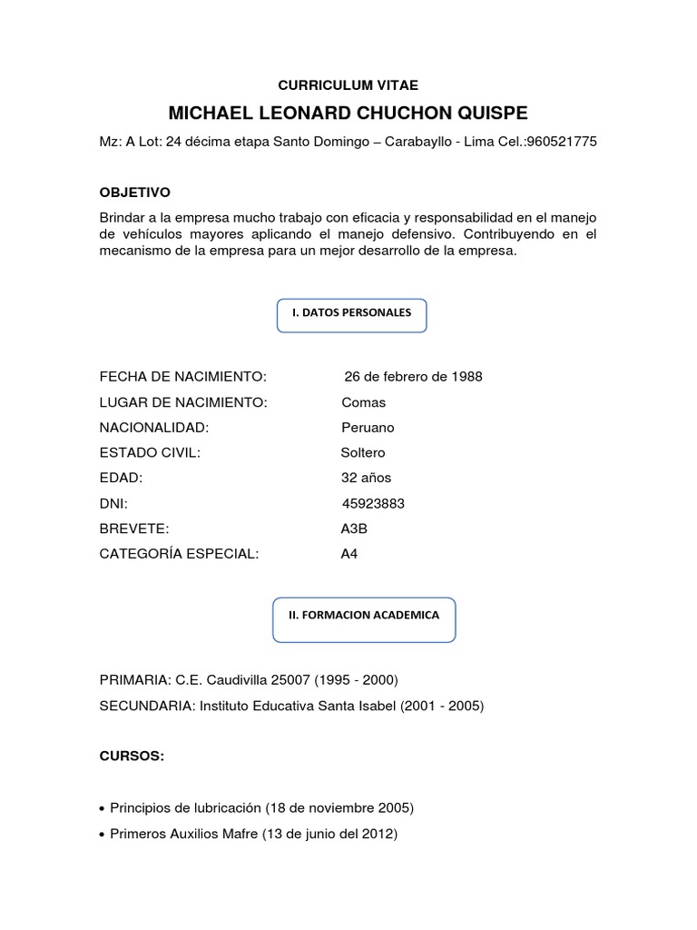 Curriculum Vitae Michael | PDF | Business