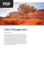 Essential Fashion Illustration Digital | PDF | Adobe Photoshop | Image ...