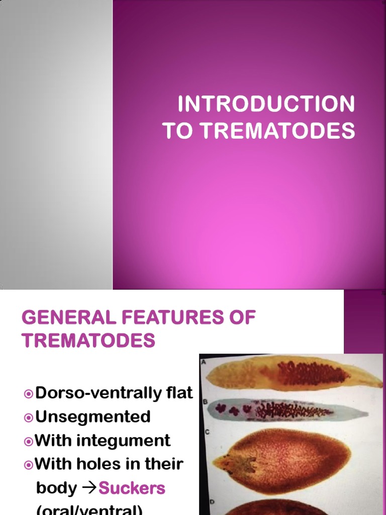 Overview of Trematodes and Liver Flukes | PDF | Liver | Clinical Medicine