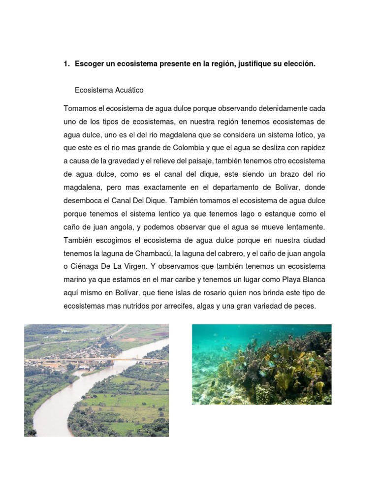 Ecosistemas y Ciclos Biogeoquímicos | PDF | Ecosistema | Entorno natural